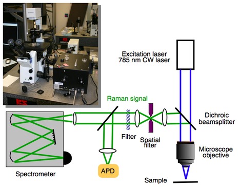 Biomolecular Photonics - Spontaneous Raman
